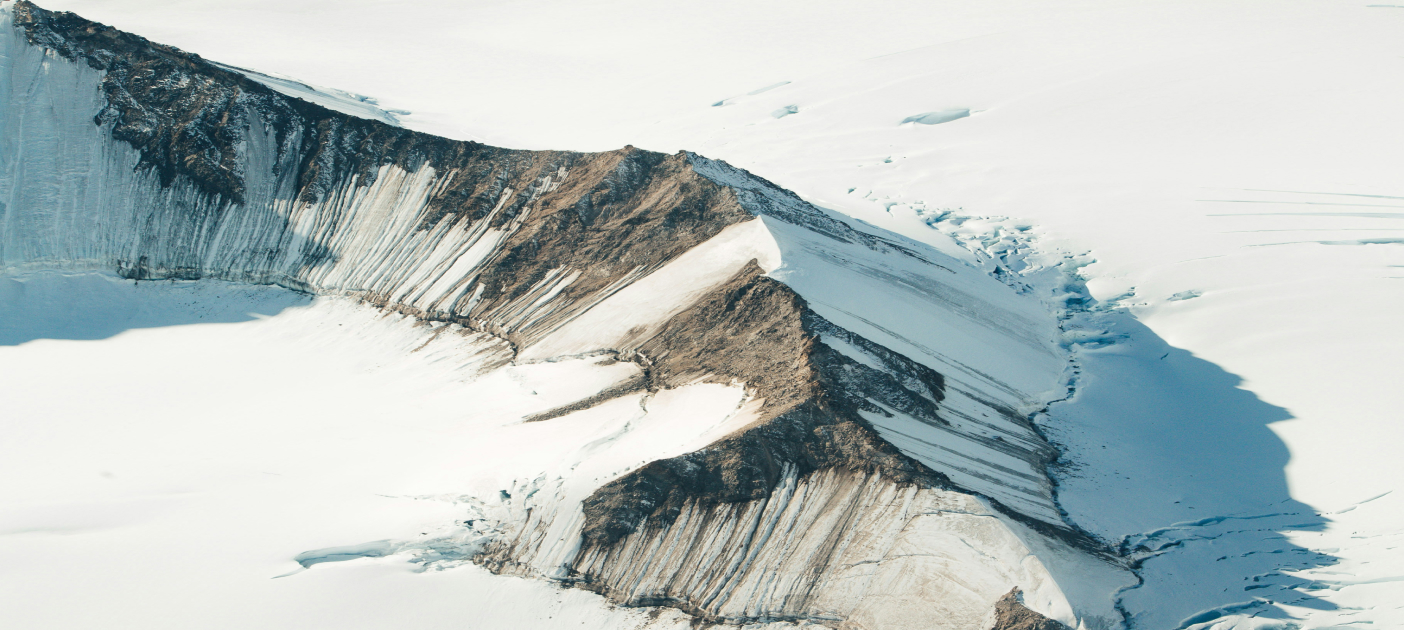 Over The Hedge Gladys Sharp