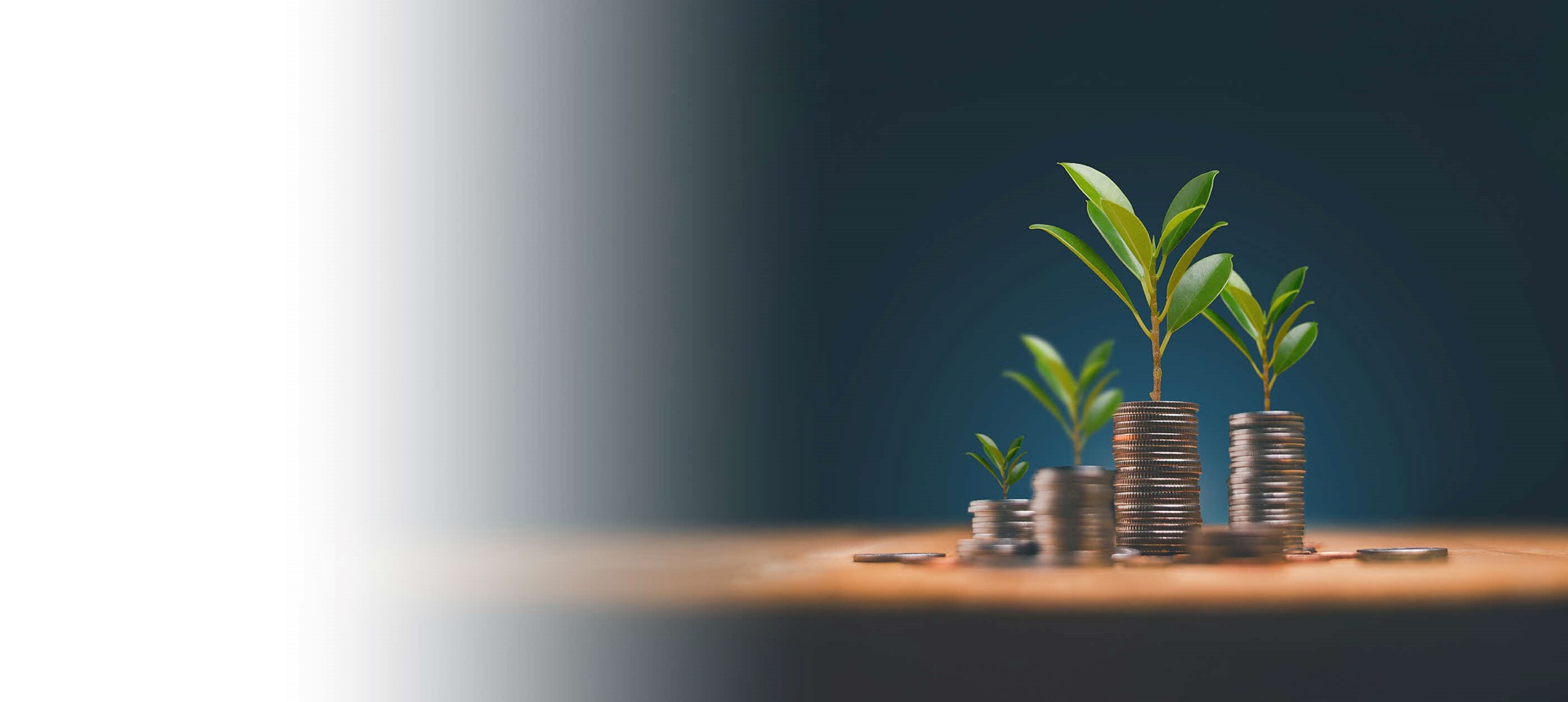Prestige Achiever Insurance Plan | DBS Hong Kong